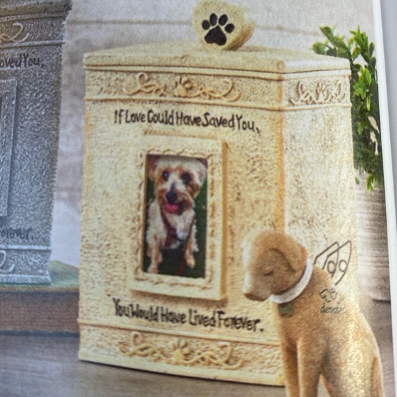Dog | Dog Pet Ern | Poshmark